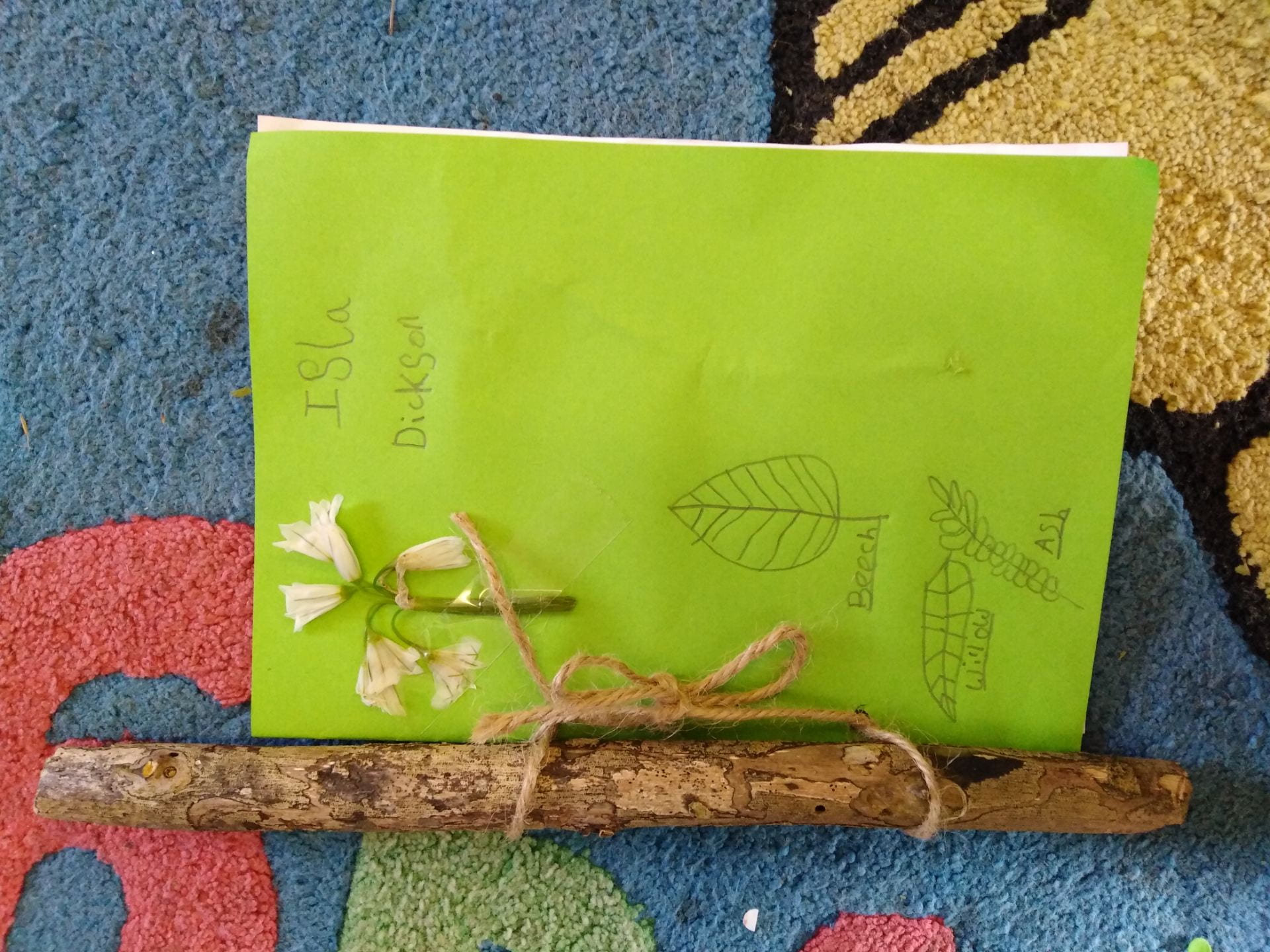 Forest school games and books – Village Schools Partnership Blog