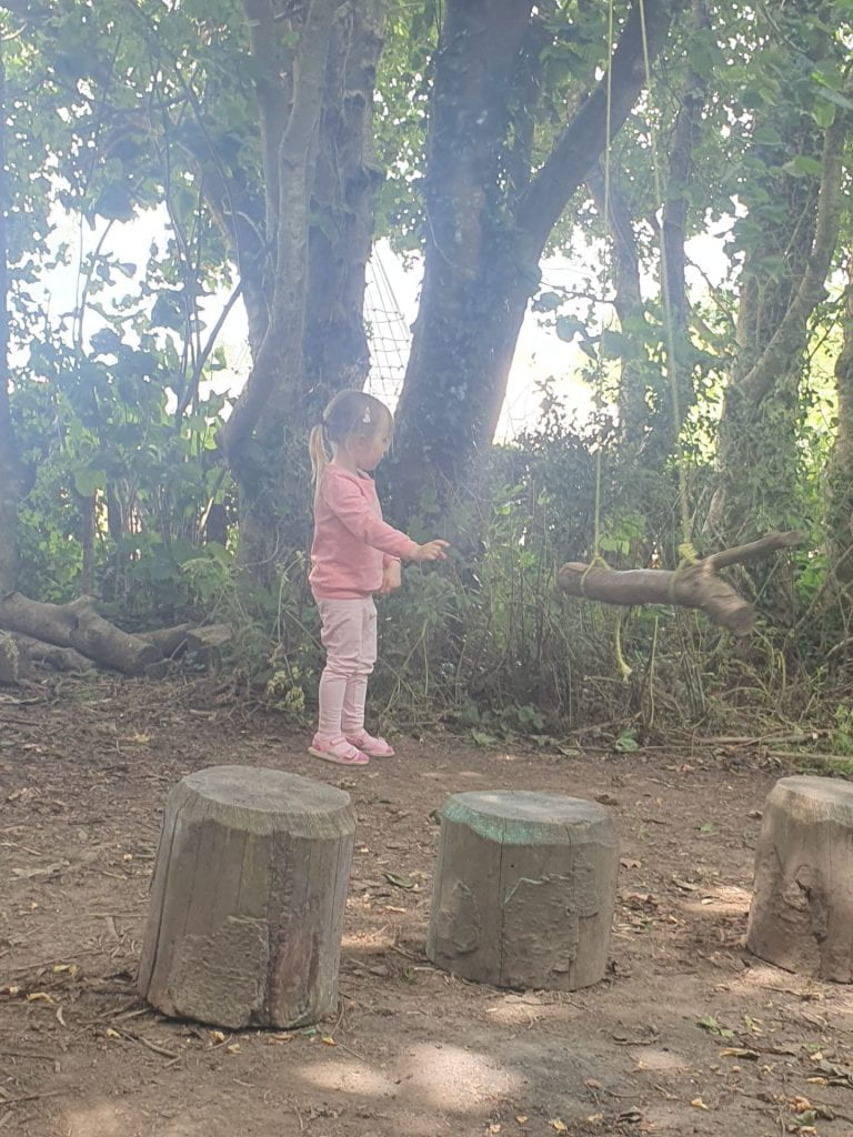 Fairy and Nymph wings – Village Schools Partnership Blog