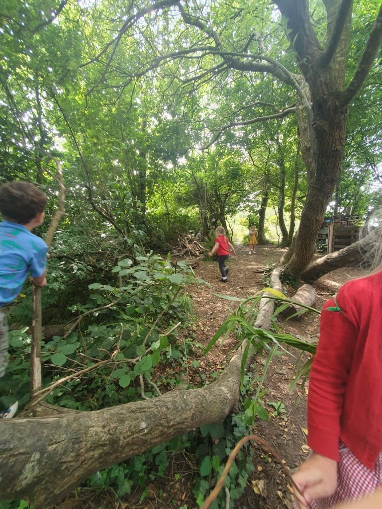 Fairy and Nymph wings – Village Schools Partnership Blog